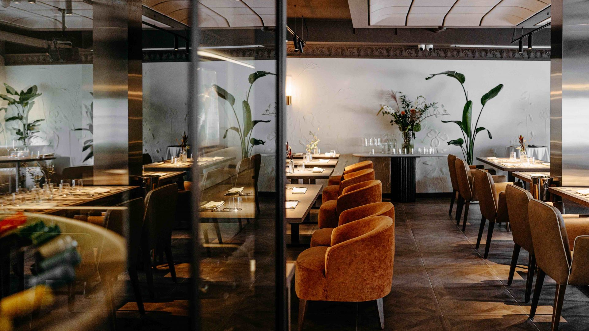 Открытие: Avero Mio Bistro | chef.ru шеф ру